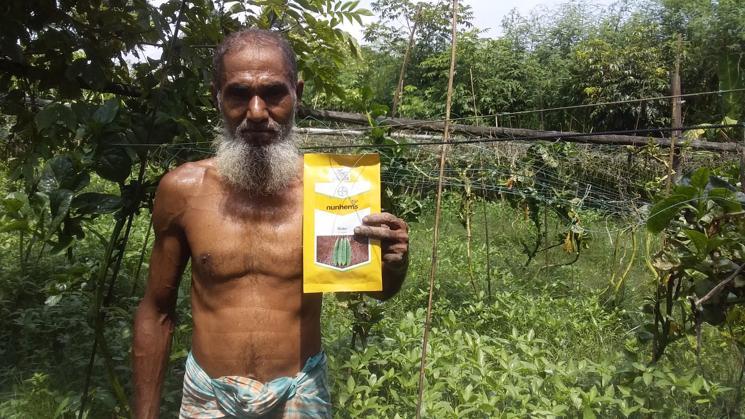 Field Activities | A.R. Malik Seeds Pvt. Ltd