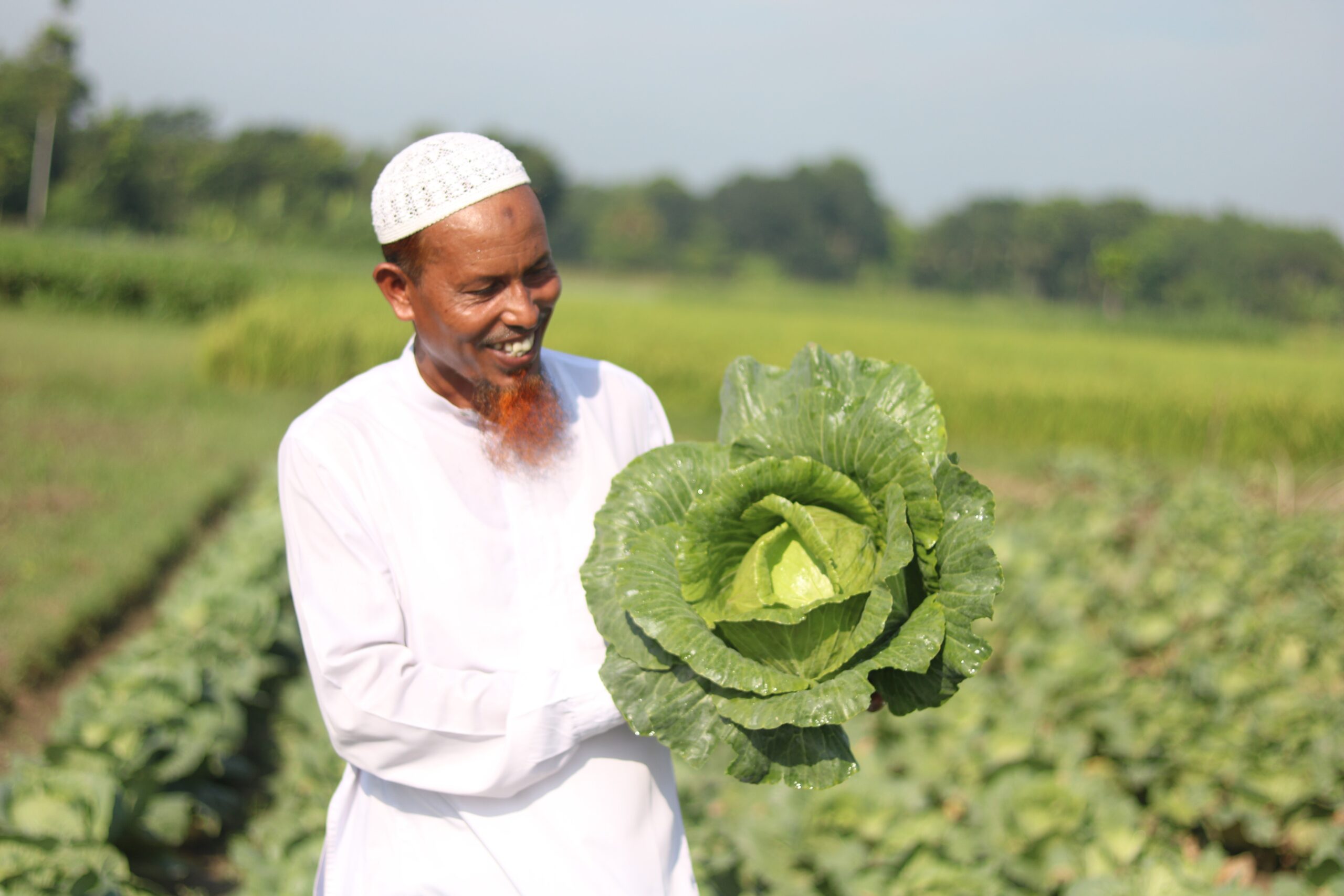 Gallery | A.R. Malik Seeds Pvt. Ltd