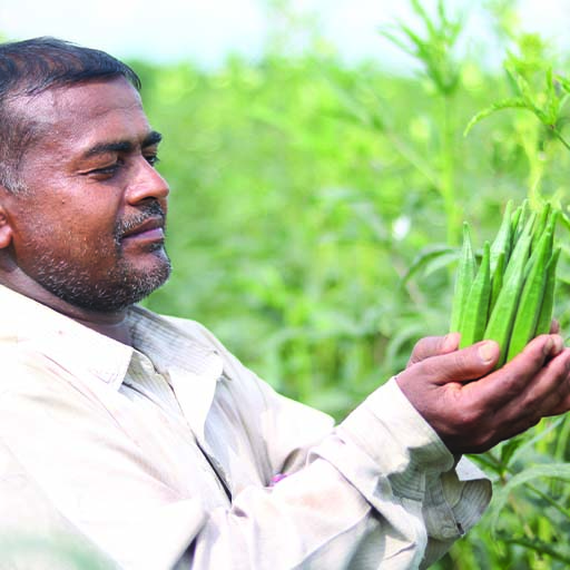 Gallery | A.R. Malik Seeds Pvt. Ltd