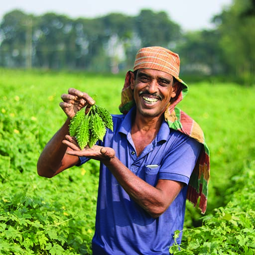 Gallery | A.R. Malik Seeds Pvt. Ltd